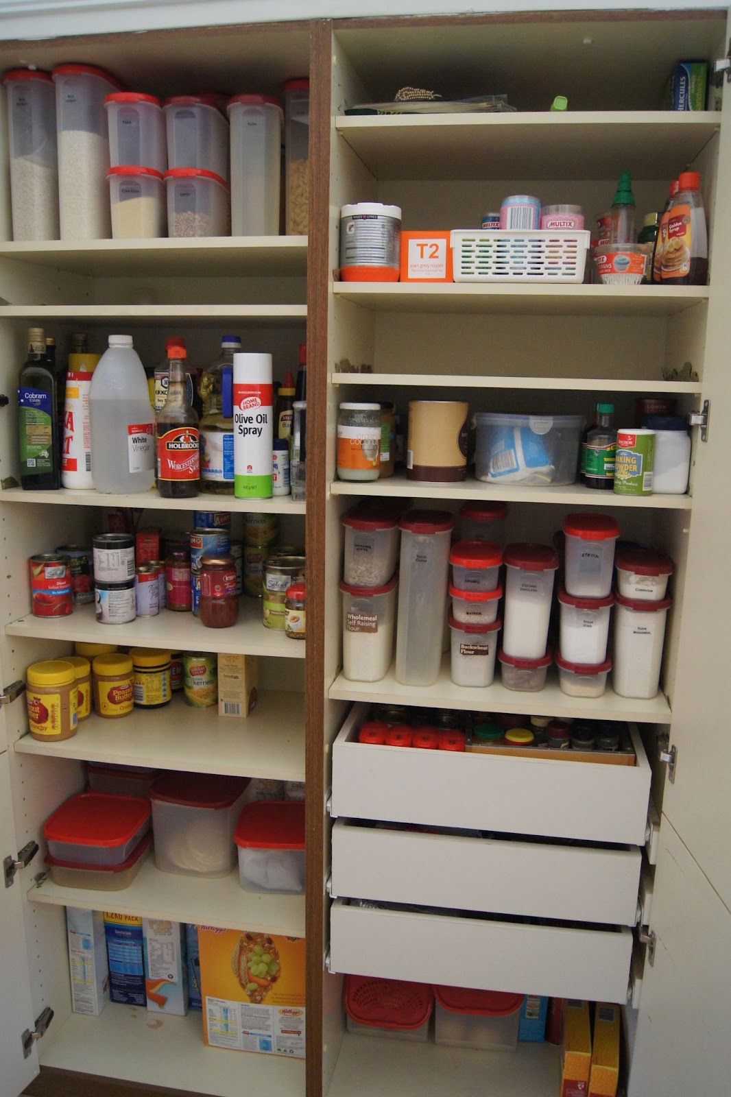 What Attracts Pantry Moths: Facts and Prevention Tips – Home Clean Expert